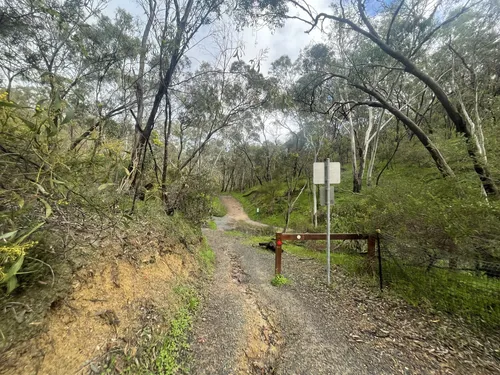 Best Kid Friendly Trails in Sturt Gorge Recreation Park | AllTrails
