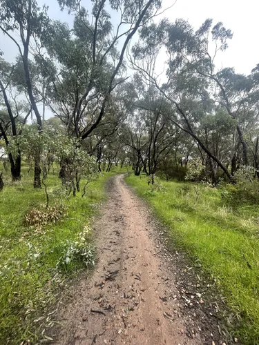 Best Kid Friendly Trails in Sturt Gorge Recreation Park | AllTrails