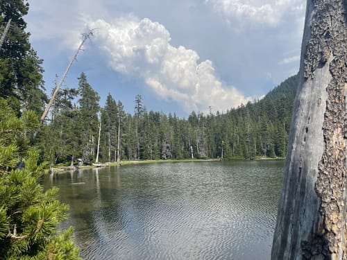 2023 Best Long Trails in Butte Falls | AllTrails