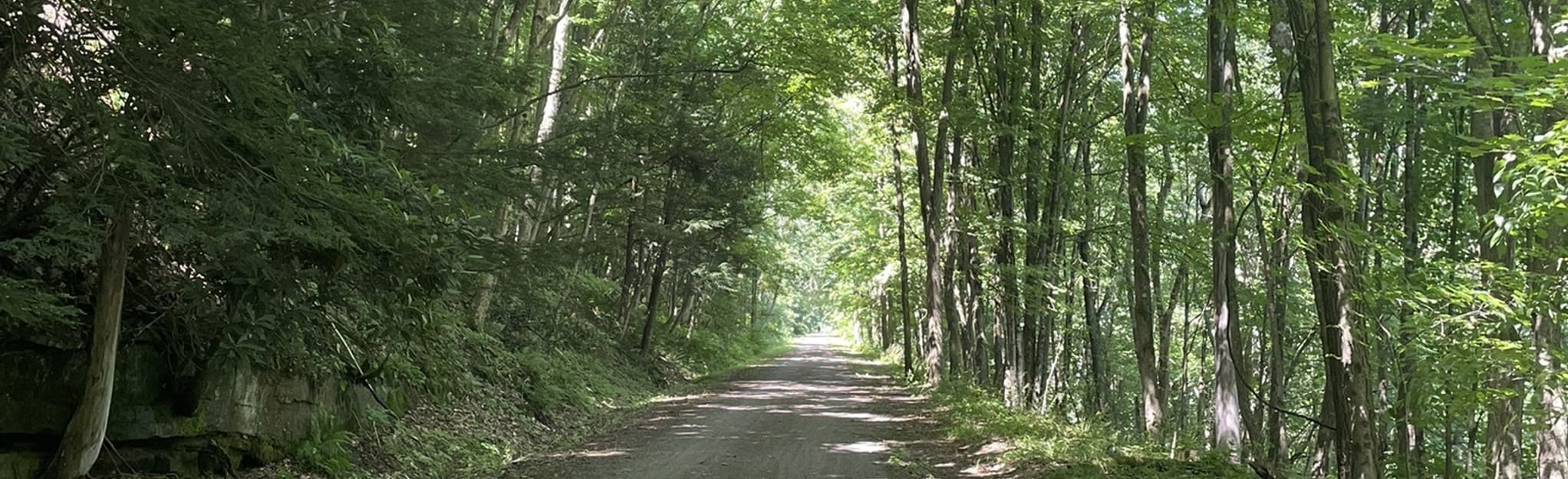 Allegheny Highlands Trail - Markleton to Rockwood: 31 Reviews, Map ...