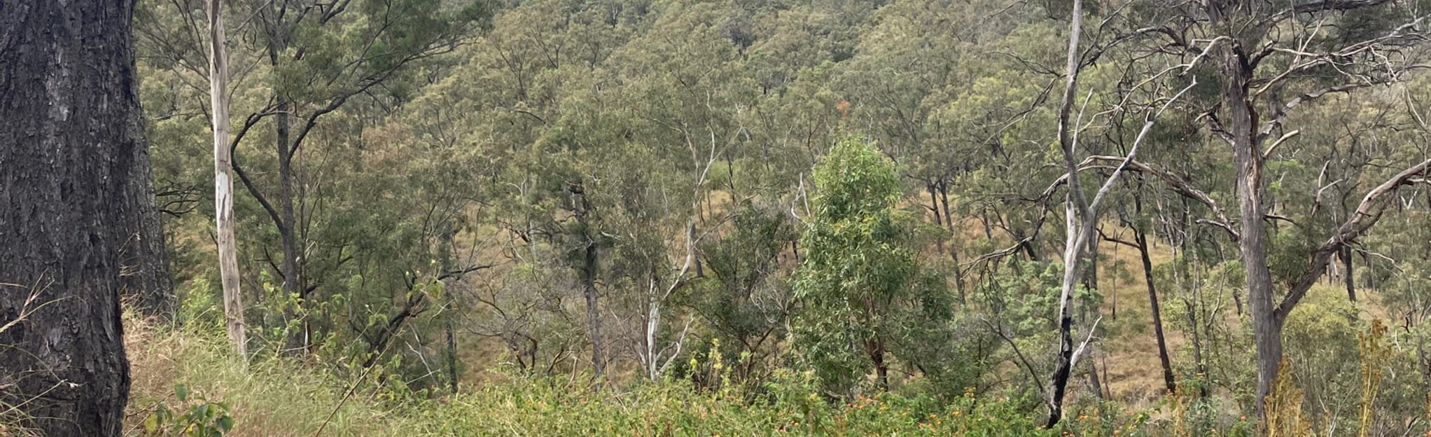 Mount Philp and Red Rock, Queensland, Australia - Map, Guide | AllTrails