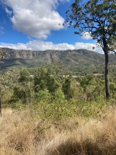 Best Hikes and Trails in Glen Rock State Forest | AllTrails