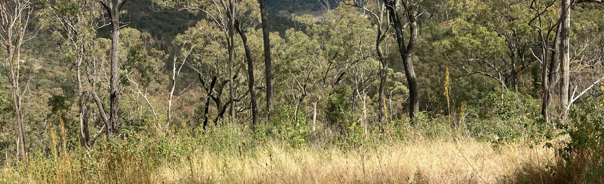 AllTrails | North Glen Rock Fire Trail: 8 Reviews, Map - Queensland ...