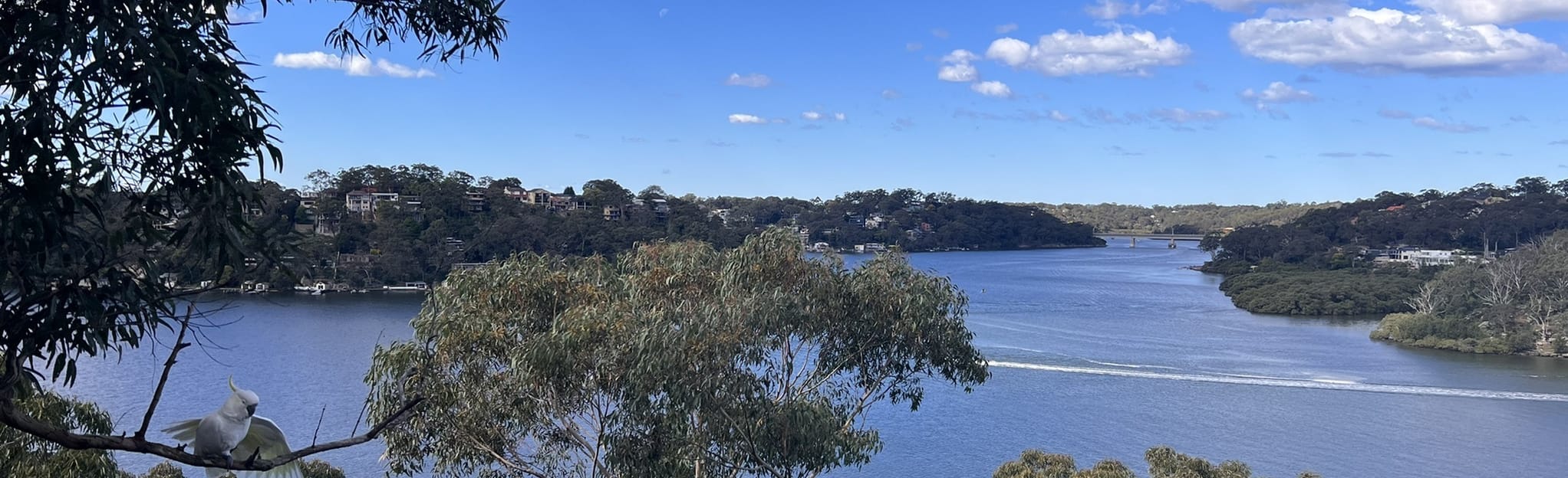 Georges River 5 Bridges Loop, New South Wales, Australia - 41 Reviews ...