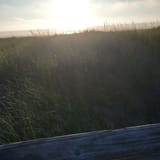 Long Beach Boardwalk and Discovery Trail Loop, Washington - 118 Reviews ...