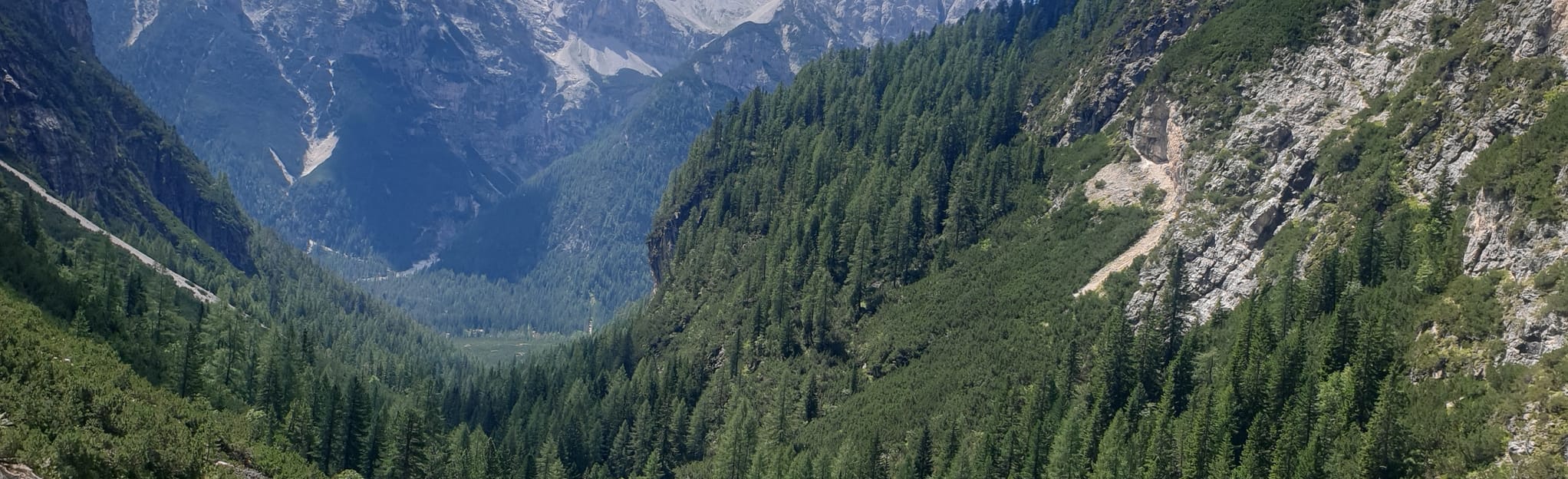 Prato Piazza - Rifugio di Vallandro via Passo Cimabanche: 12 Reviews ...