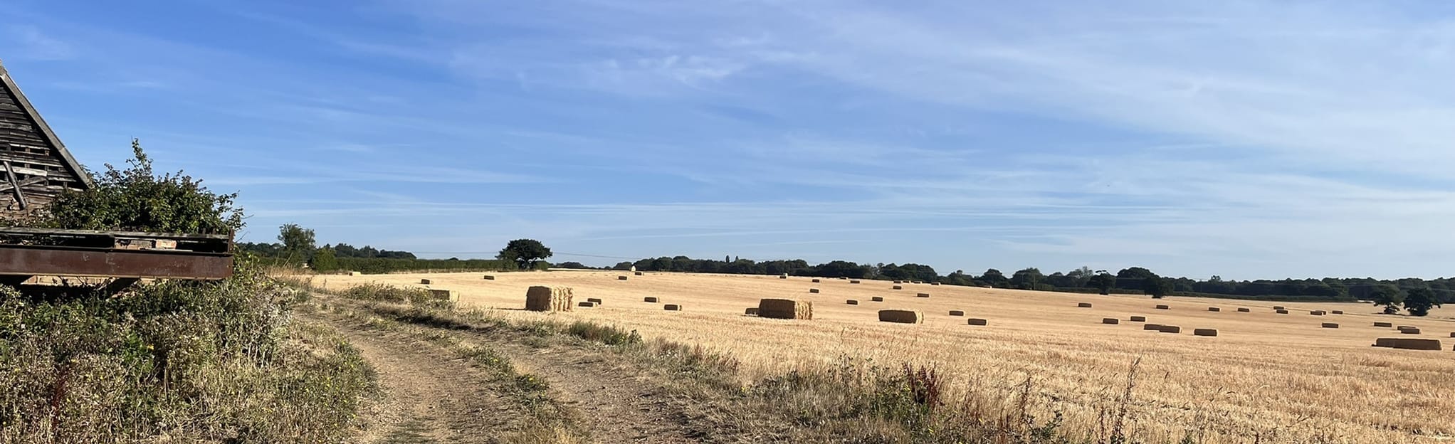 Tiptree Circular, Essex, England - 32 Reviews, Map | AllTrails