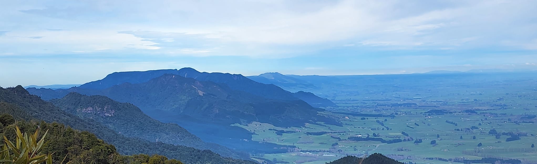 Kaimai Ridgeway Walk - Waikato, New Zealand | AllTrails