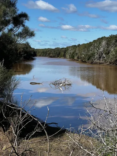 Best Hikes and Trails in Dongara | AllTrails