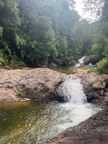 Best Forest Trails in Maran | AllTrails