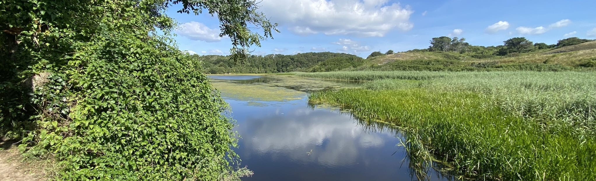 Bosherston Lily Ponds, Pembrokeshire, Wales - 67 Reviews, Map | AllTrails