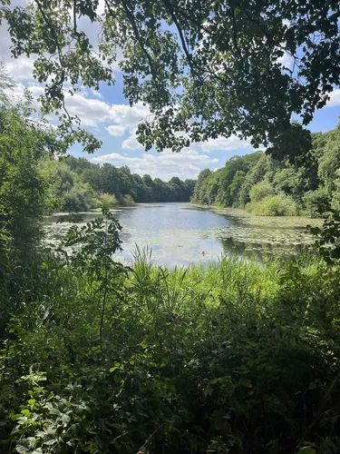 10 Best Trails, Walks, and Paths in Nottingham | AllTrails