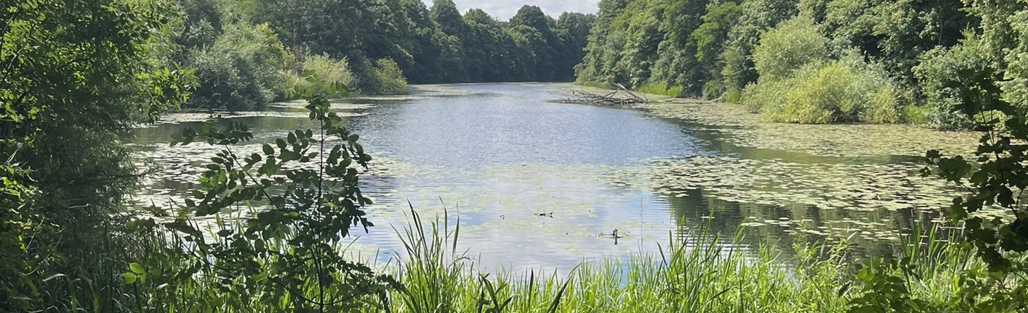 West and Colwick Lake Circular, Nottinghamshire, England - 137 Reviews ...