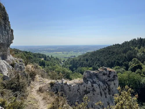 Best Moderate Trails in Réserve naturelle de la Combe Lavaux - Jean ...