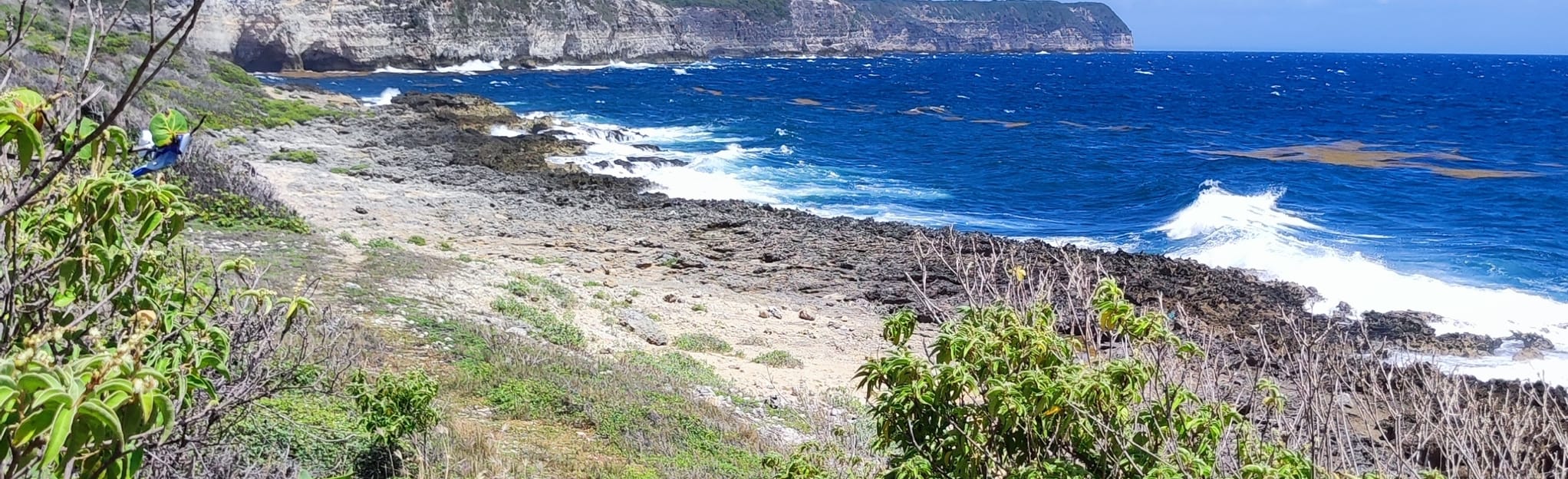 East coast path of Marie-Galante via Pointe de Tali: 34 Zdjęcia ...