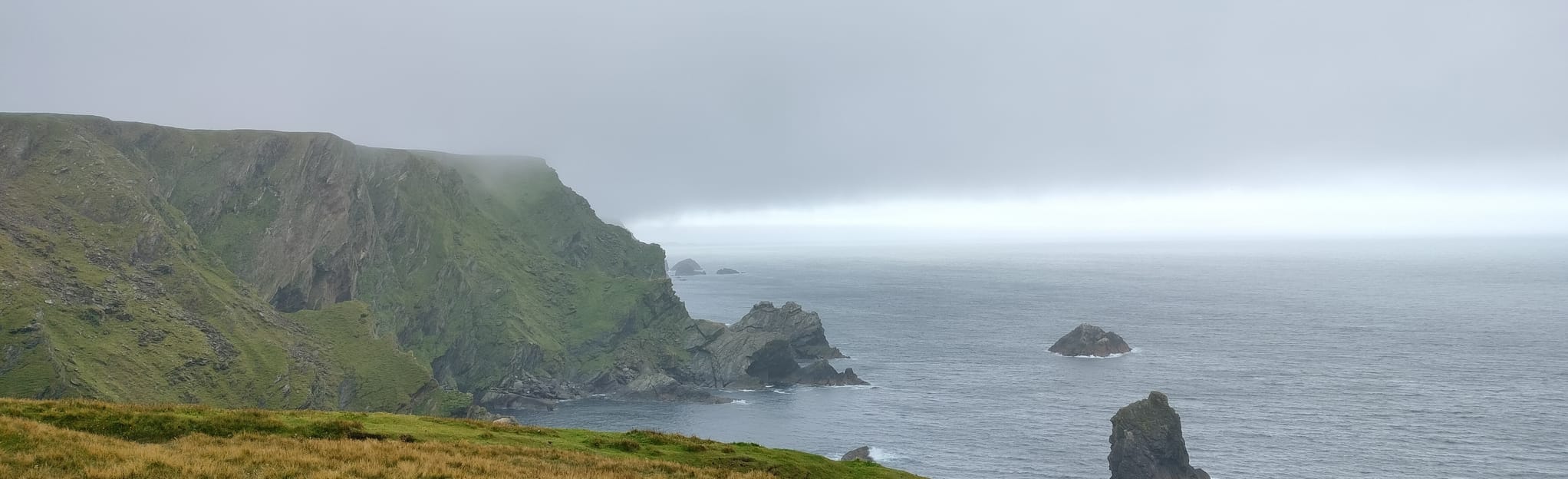 Hermaness Hill and Cliffs: 4 Reviews, Map - Shetland, Scotland | AllTrails