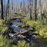 Broken Top Loop, Oregon - 265 Reviews, Map | AllTrails