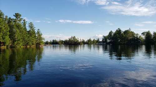 Best Hikes and Trails in Jeffrey-Cowan Forest Preserve | AllTrails