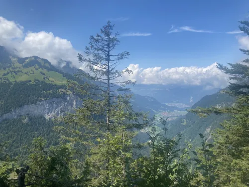 10 Best Trails and Hikes in Wengen | AllTrails
