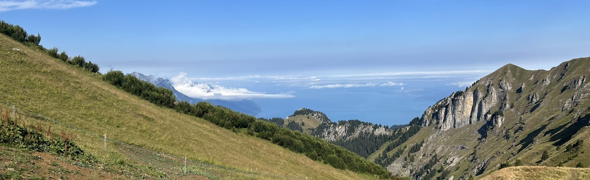 Leysin - Berneuse, Vaud, Switzerland - 39 Reviews, Map | AllTrails
