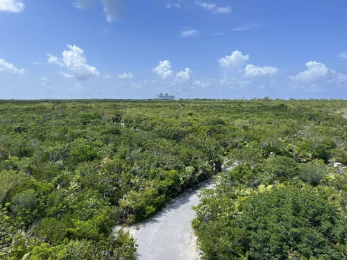 2023 Best 10 Trails and Hikes in Bahamas | AllTrails