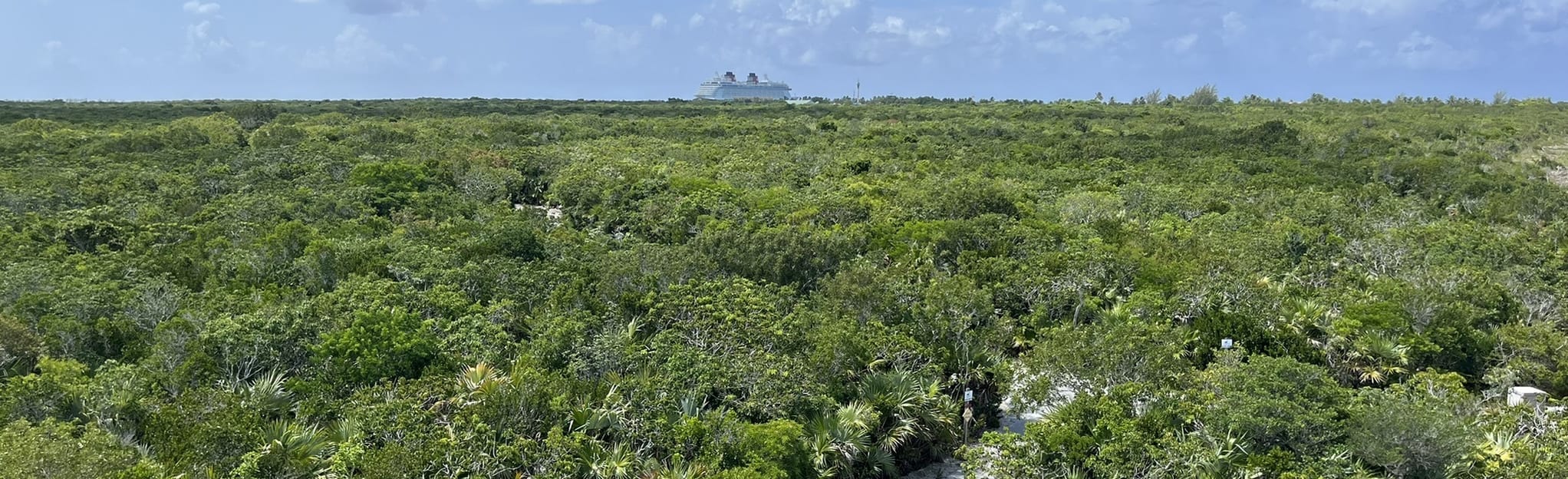 Boucle de la forêt de Castaway Cay : 0 Photos - Central Abaco, Bahamas ...