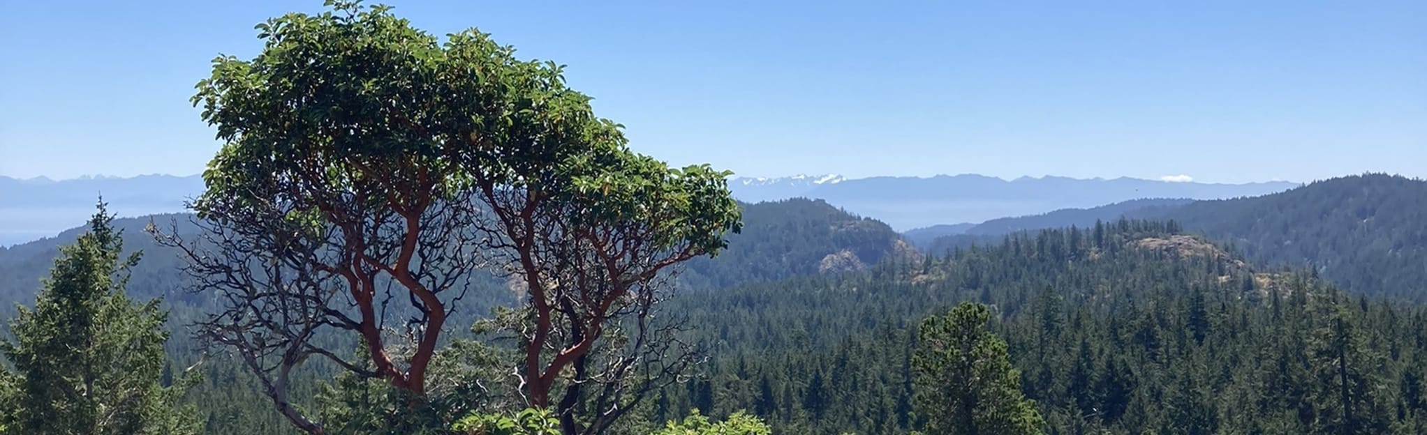 John Stick Peak, Malcolm Mountain, and Plateau Peak: 20 Reviews, Map ...