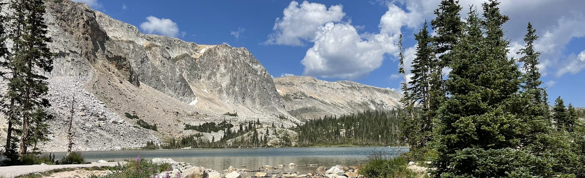 Snowy Range Highway: 21 Reviews, Map - Wyoming | AllTrails