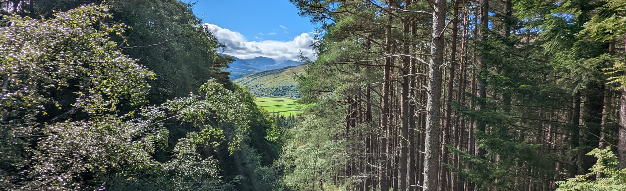 Lael Forest Garden Gorge Trail: 28 foto - Highlands, Scozia | AllTrails