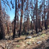 Norris Trailhead to Vanderburgh Lake, California - 32 Reviews, Map ...