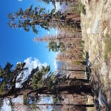 Norris Trailhead to Vanderburgh Lake, California - 34 Reviews, Map ...