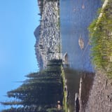 Norris Trailhead to Vanderburgh Lake, California - 34 Reviews, Map ...