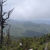 Dix Mountain via Dix Trail, New York - 329 Reviews, Map | AllTrails