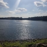 Mill Pond Reservoir Loop, Massachusetts - 1,201 Reviews, Map | AllTrails