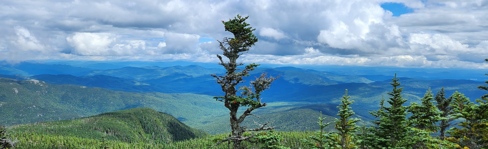 Wildcat Ridge Trail and Imp Trail: 63 Reviews, Map - New Hampshire ...