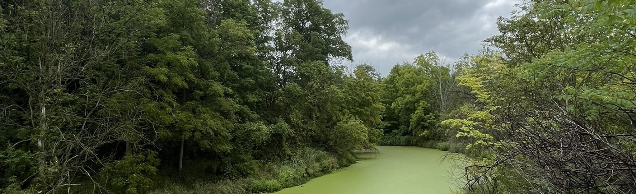 Rowsom's Tilbury West Loop: 35 Reviews, Map - Ontario, Canada | AllTrails