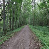 Uhthoff Trail: Orillia to Waubaushene, Ontario, Canada - 88 Reviews ...