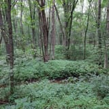 Uhthoff Trail: Orillia to Waubaushene, Ontario, Canada - 88 Reviews ...