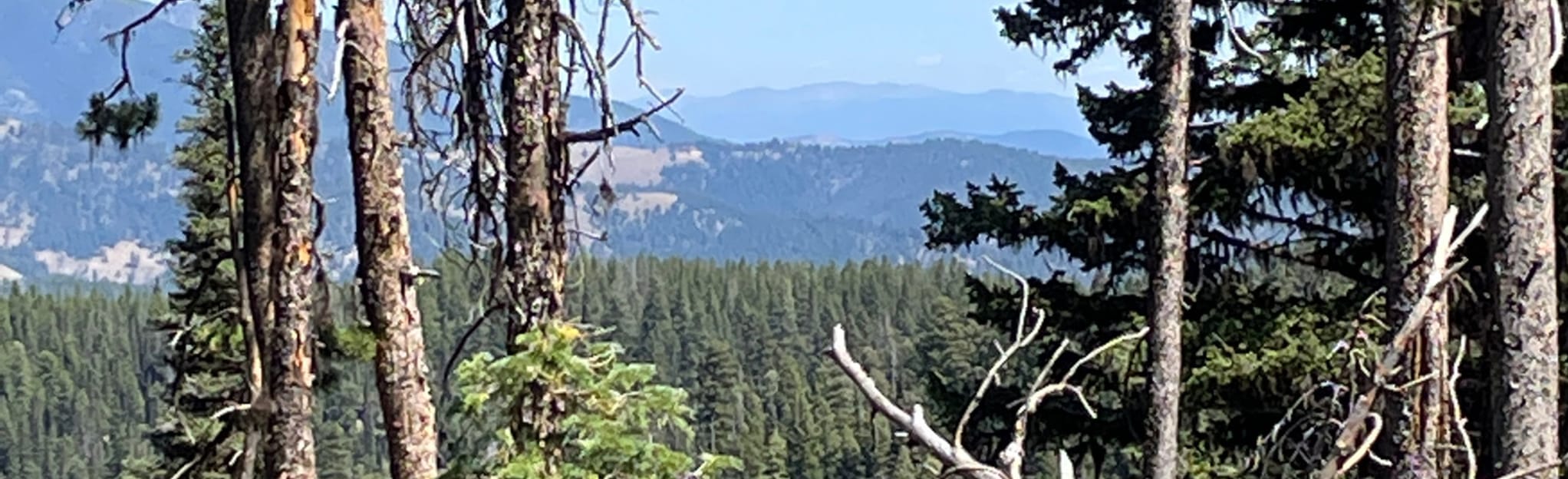 South Route Old Nez Perce Trail, Montana - Map, Guide | AllTrails