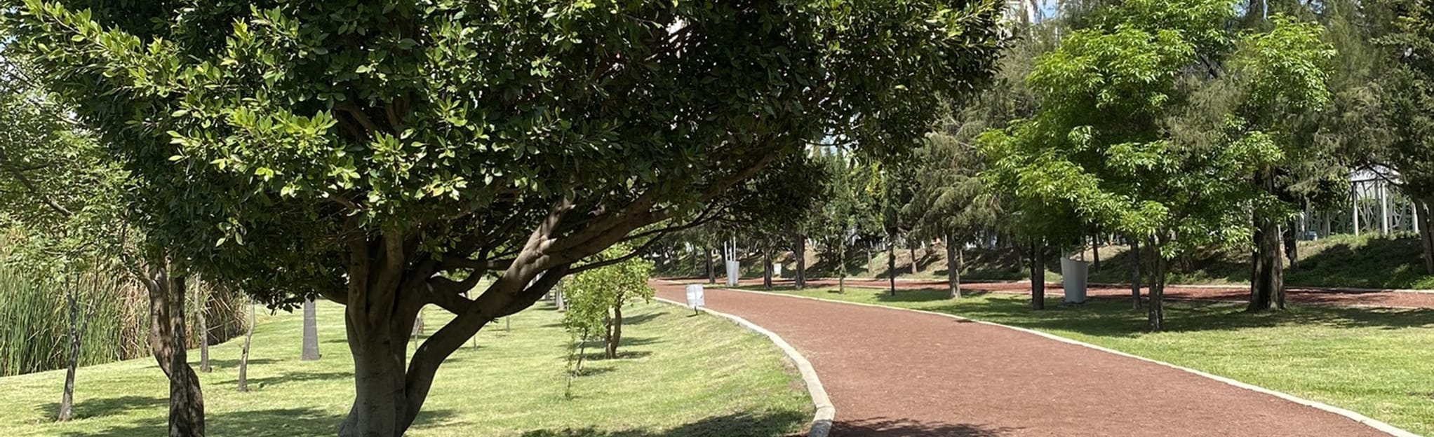 Parque del Arte Puebla : 2 Photos - Puebla, Mexique | Randonnée | AllTrails