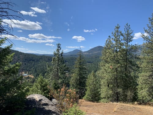 Best Hikes and Trails in Pine Street Woods | AllTrails