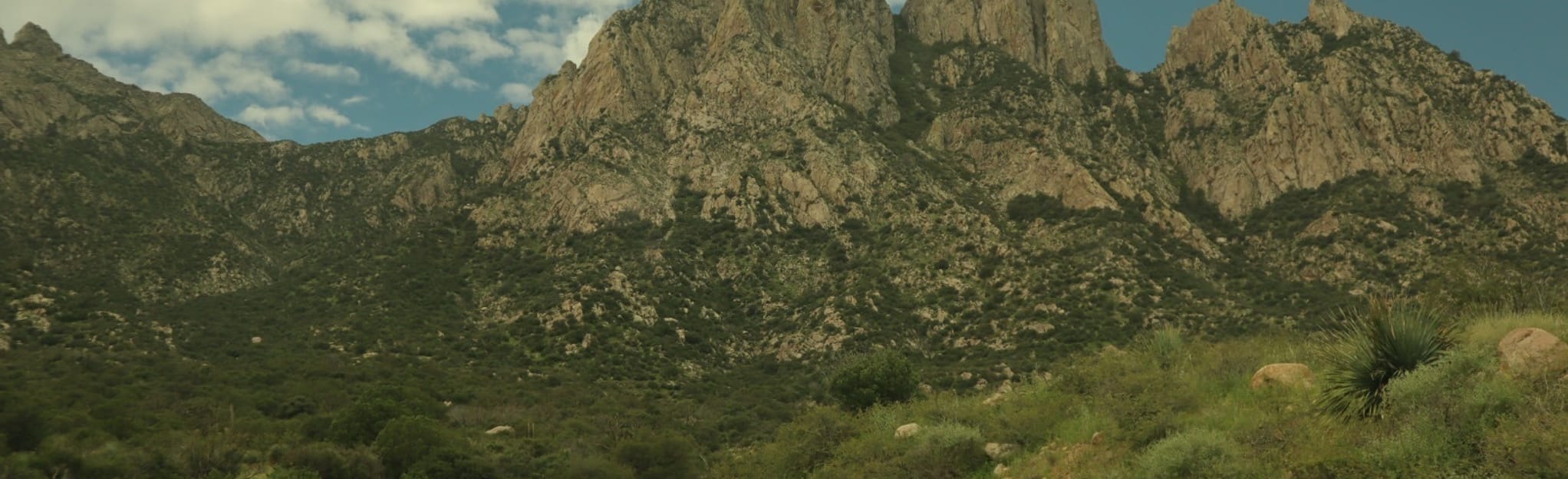 Indian Hollow Trail | Map, Guide - New Mexico | AllTrails