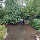 Uhthoff Trail: Orillia to Waubaushene, Ontario, Canada - 88 Reviews ...