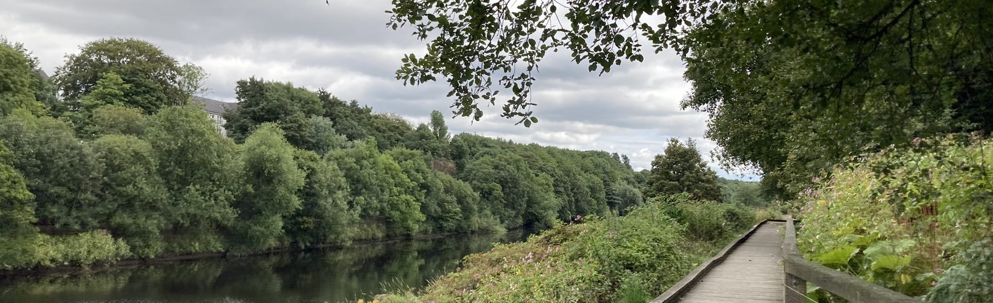 Cuningar Boardwalk and Footbridge Loop, Glasgow City, Scotland - 6 ...