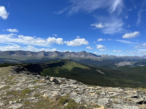 Best Hikes and Trails in Cardinal Divide Natural Area | AllTrails