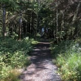 Fort Rupert Trail, British Columbia, Canada - 121 Reviews, Map | AllTrails