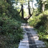 Fort Rupert Trail, British Columbia, Canada - 121 Reviews, Map | AllTrails