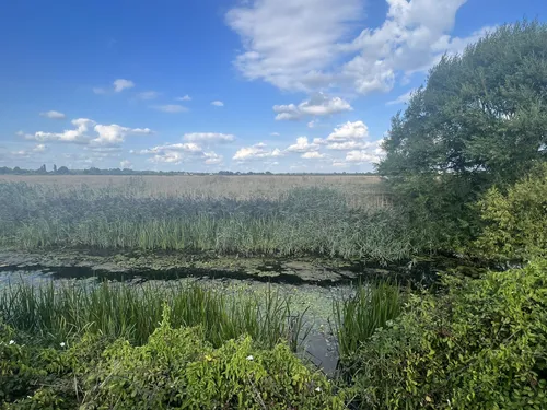Best Hikes and Trails in Pevensey Levels Site of Special Scientific ...