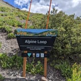 Engineer Pass Road, Colorado - 244 Reviews, Map | AllTrails