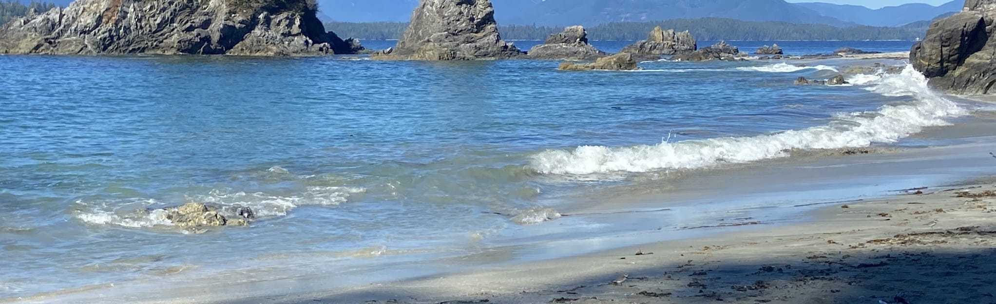 Brady Beach and Bamfield Blowhole, British Columbia, Canada - 24 ...